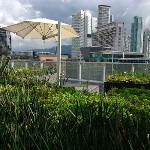 Tecnologias Verdes - Garden Central Jardinería - Index