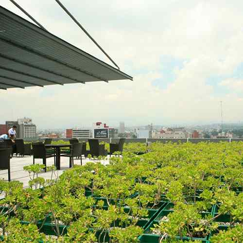 Tecnologias Verdes - Garden Central Jardinería - Index