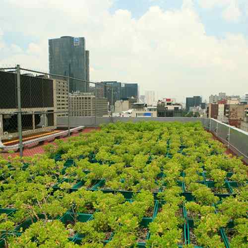 Tecnologias Verdes - Garden Central Jardinería - Index